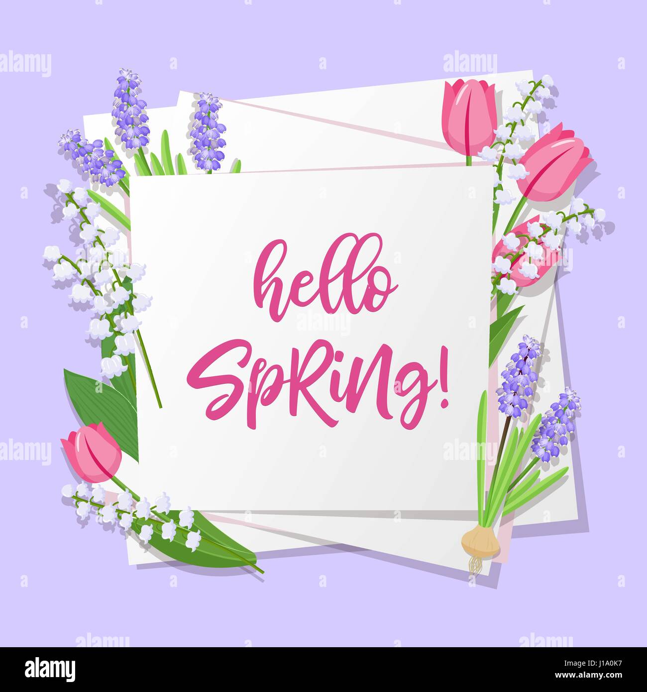 Hello spring lettering. Spring flowers on white paper background with ...