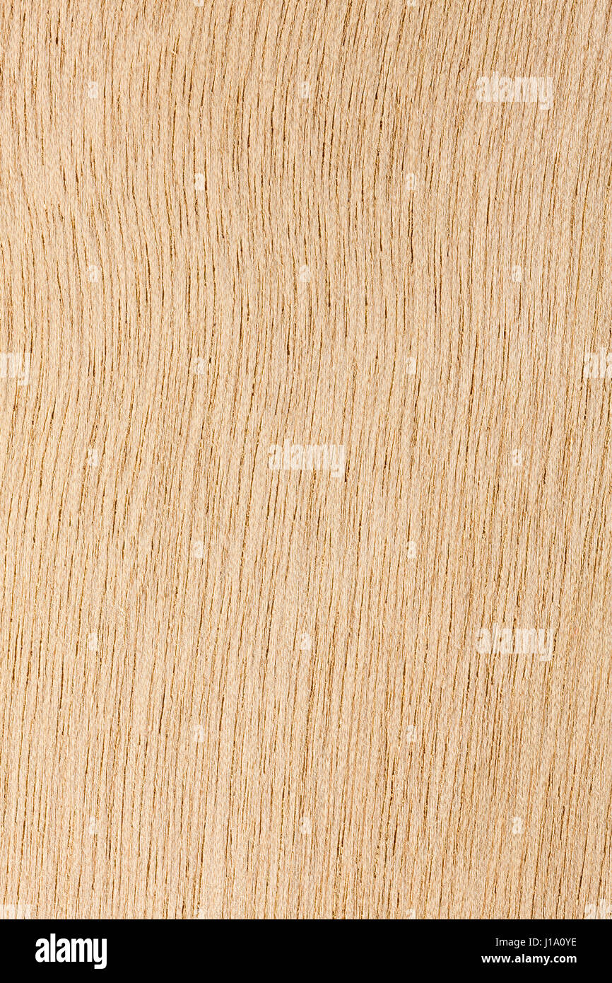 Oak wood. High-detailed wood texture series Stock Photo - Alamy