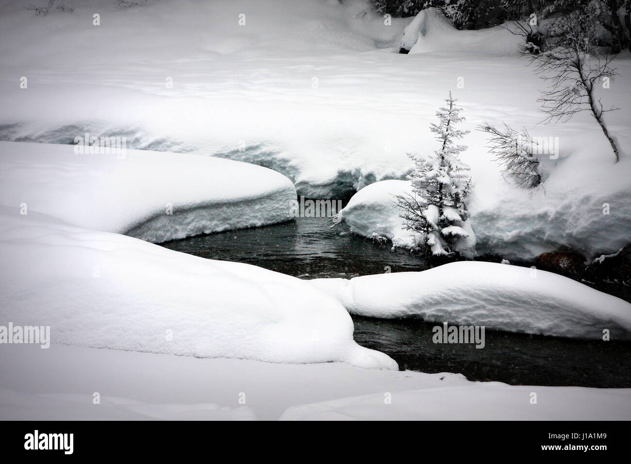 A trickle goes through its course despite heavy snow and frost in ...