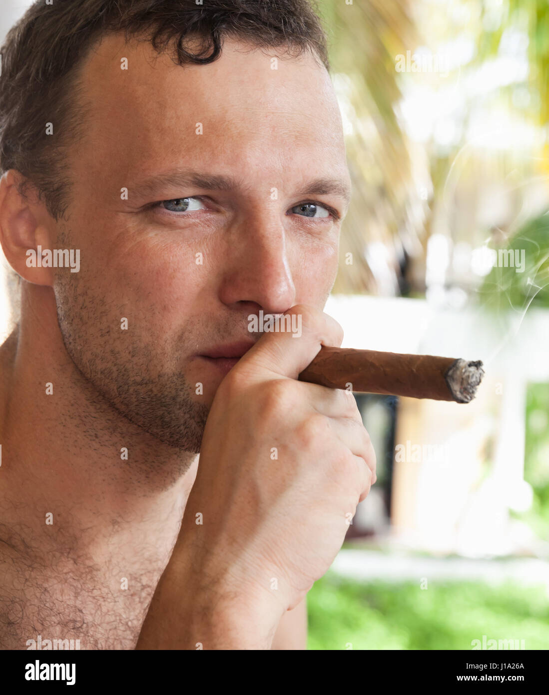 Tobacco leaf hand hi-res stock photography and images - Alamy