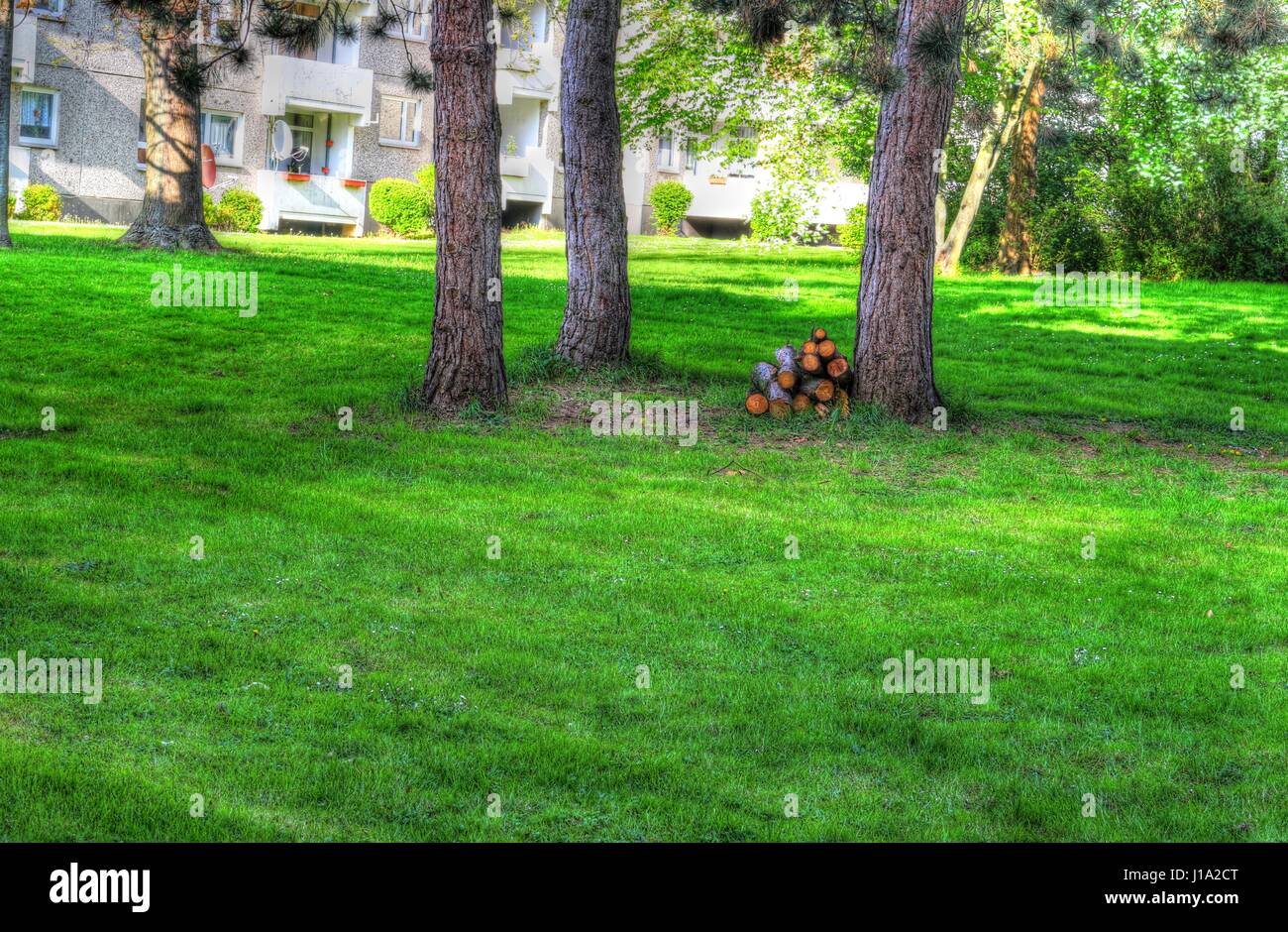 Green yard - Backyard Stock Photo - Alamy