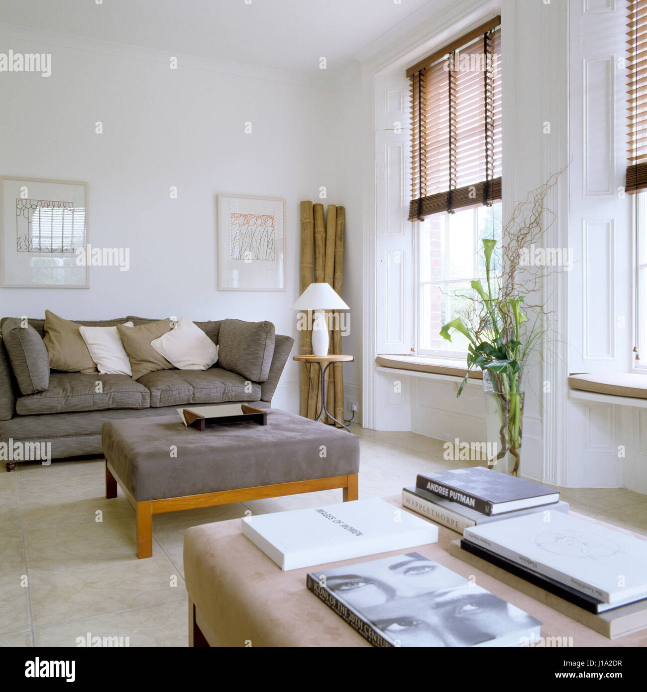 Contemporary living room Stock Photo - Alamy