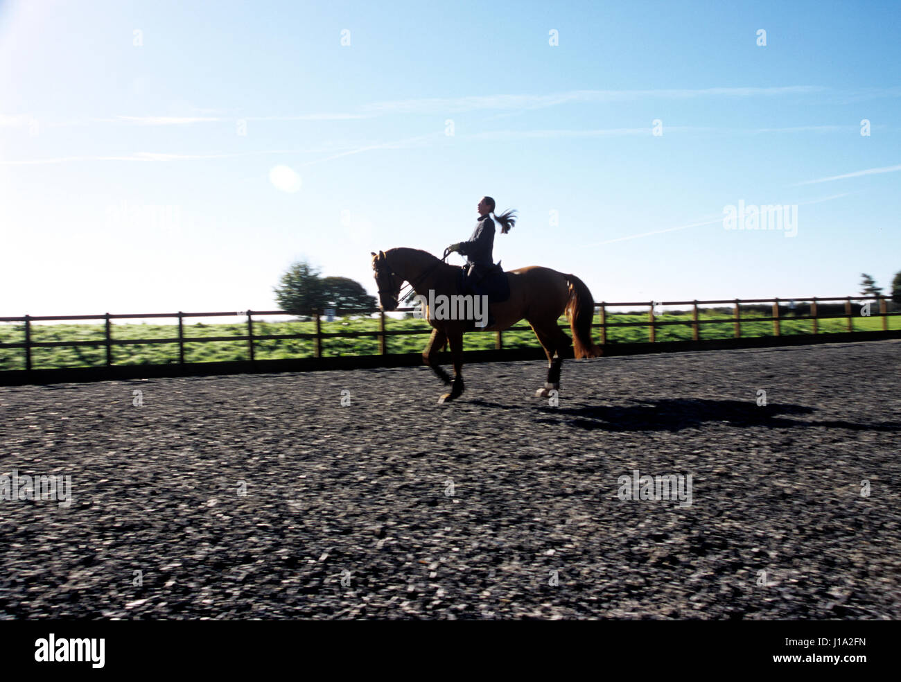 Bouncing horse hi-res stock photography and images - Alamy