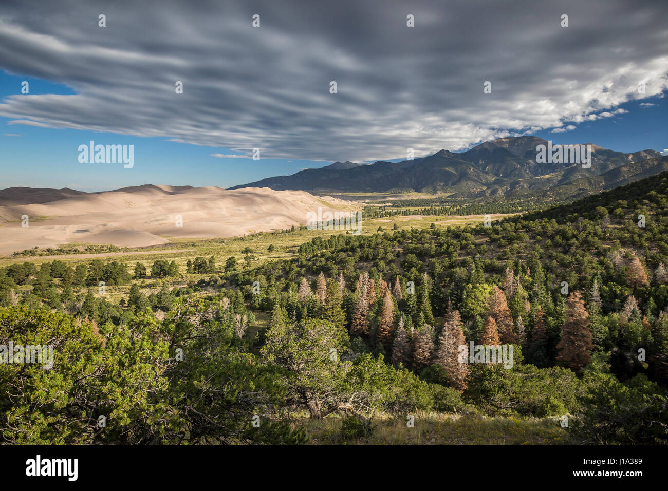 Great Sand Dunes National Park and Preserve, Colorado Stock Photo - Alamy