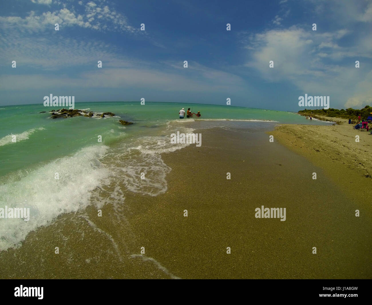rocky beach coast line Venice beach Florida Stock Photo - Alamy