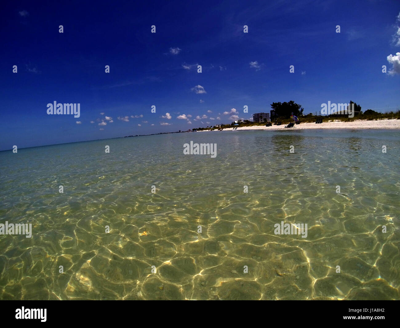 rocky beach coast line Venice beach Florida Stock Photo - Alamy