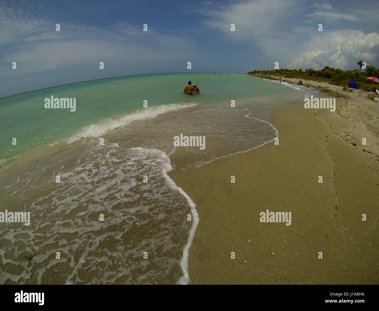 rocky beach coast line Venice beach Florida Stock Photo - Alamy