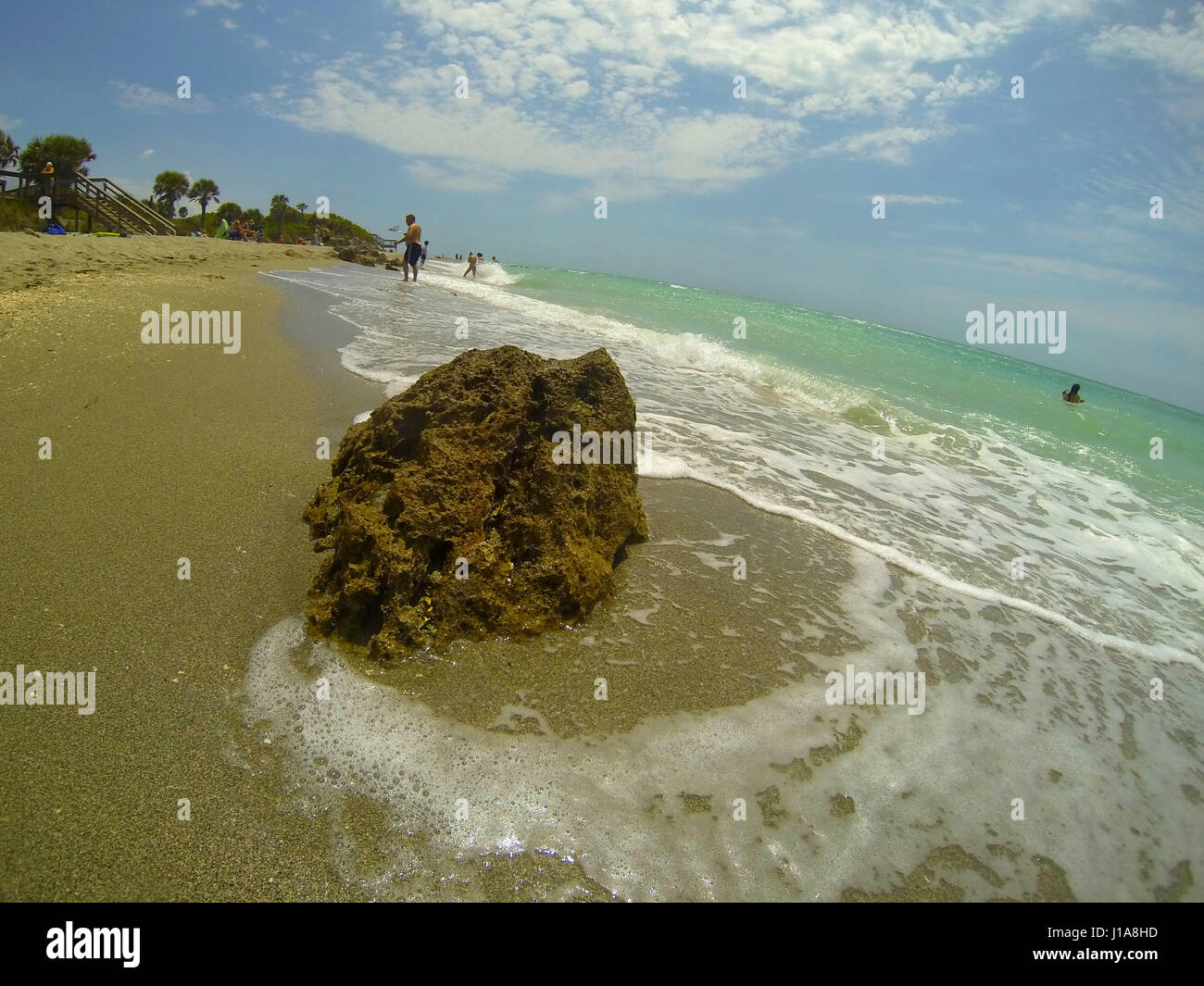 rocky beach coast line Venice beach Florida Stock Photo - Alamy
