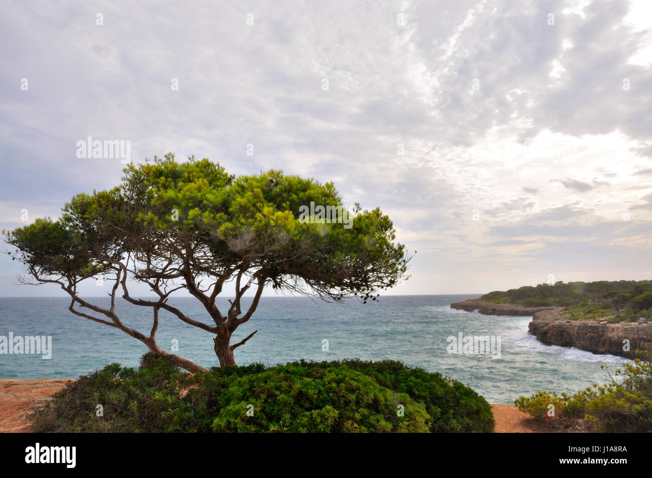 Endless rocky landscape under cloudy hi-res stock photography and ...