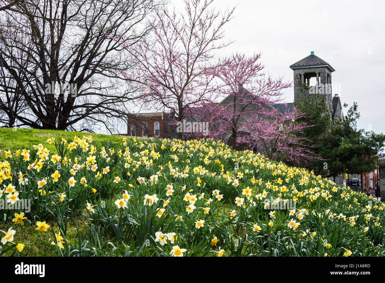 Saint elizabeth catholic church from patterson park in baltimore ...