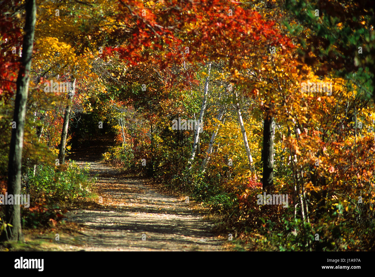 Borderland state park massachusetts hi-res stock photography and images ...