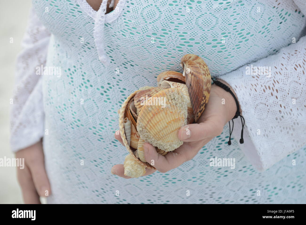 people on beach looking for sea shells Stock Photo - Alamy