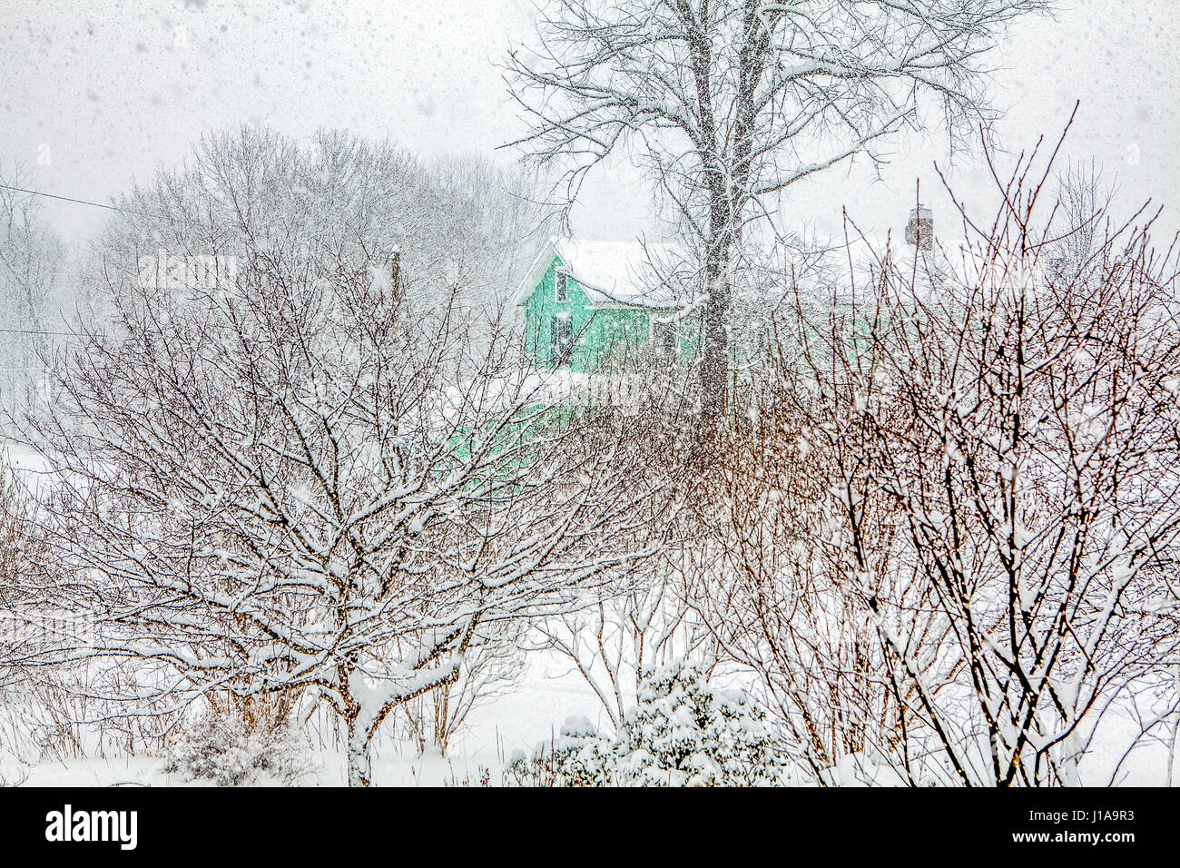 Heavy snowstorm in Northern New Hampshire, USA Stock Photo - Alamy