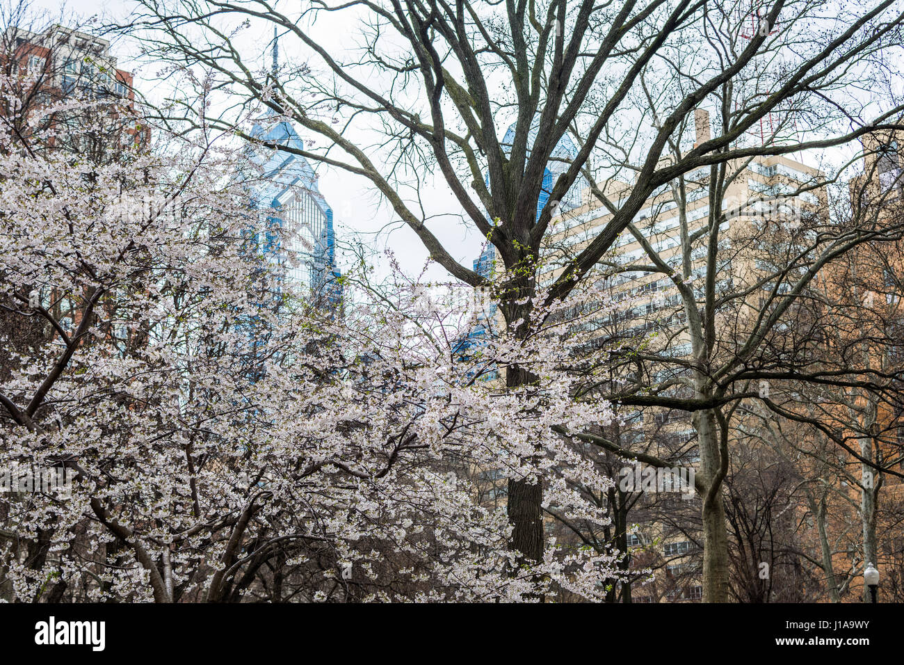 Spring in rittenhouse square in philadelphia pennsylvania Stock Photo ...