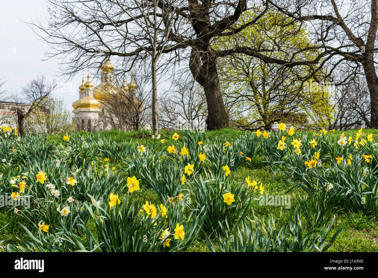 Spring landscape of patterson park with flowers in baltimore maryland ...