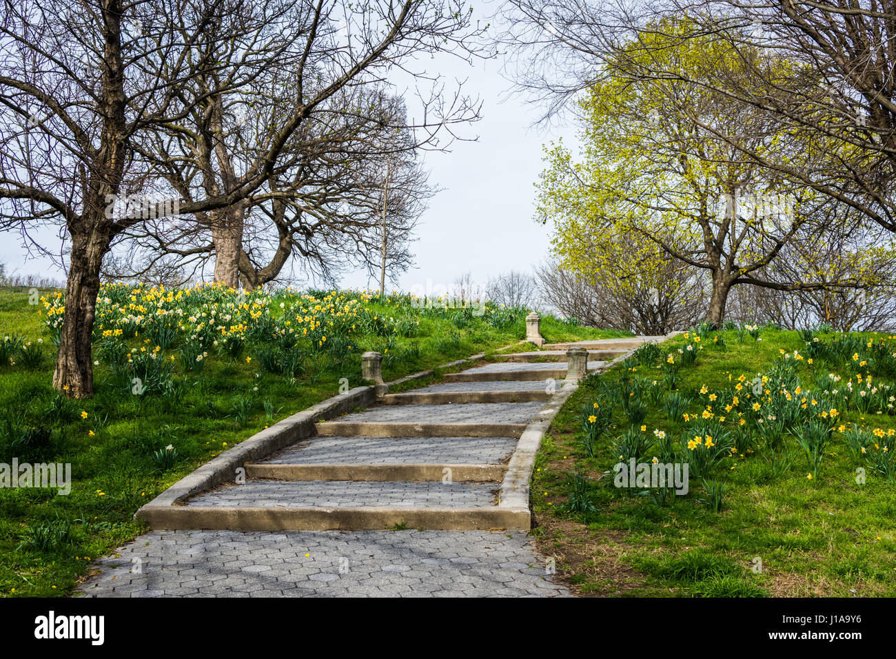 Spring landscape of patterson park with flowers in baltimore maryland ...