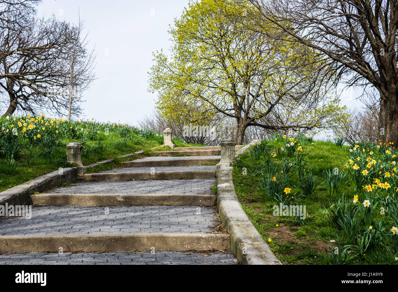 Spring landscape of patterson park with flowers in baltimore maryland ...