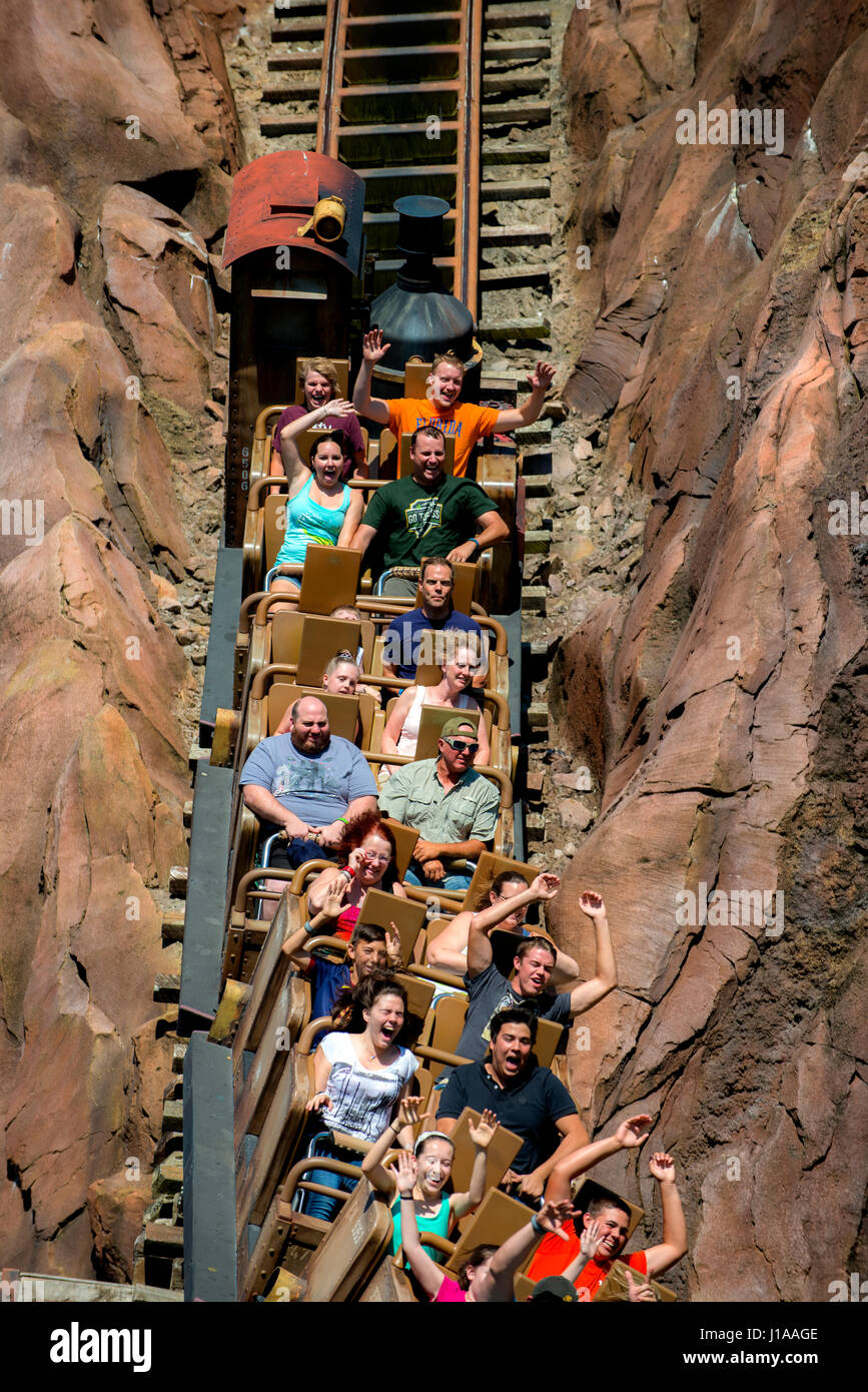 Disney Orlando Rides