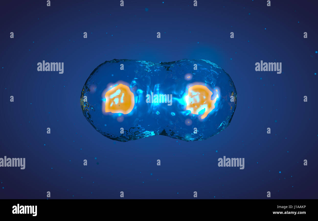 Abstract medical 3D illustration of a cell division process. Yellow ...