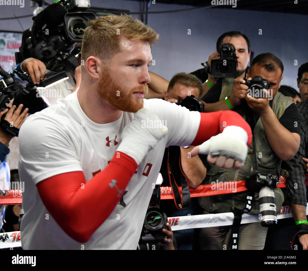San Diego CA. 19th Apr, 2017. Former Two-Division World Champion Canelo ...