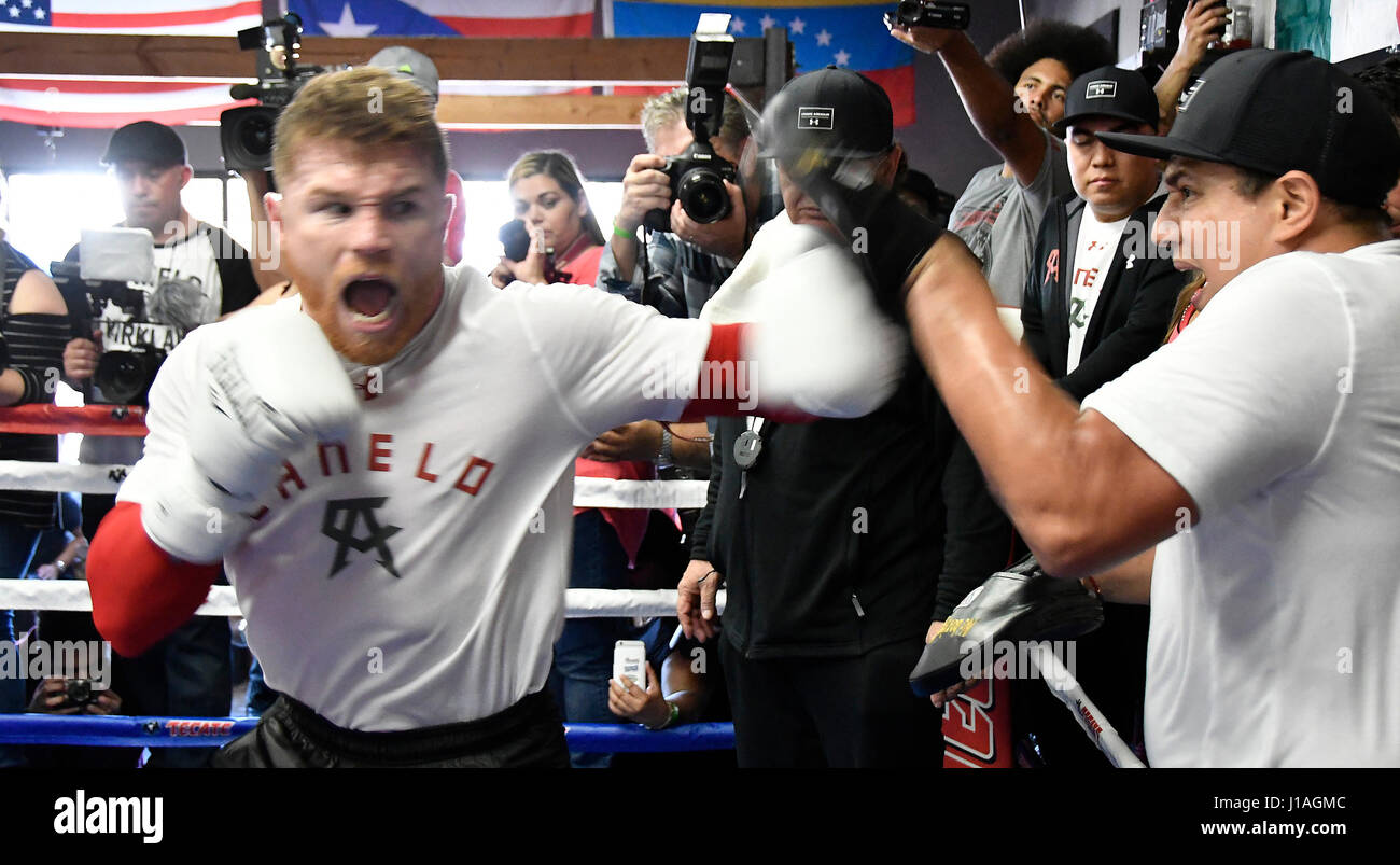 San Diego CA. 19th Apr, 2017. Former Two-Division World Champion Canelo ...