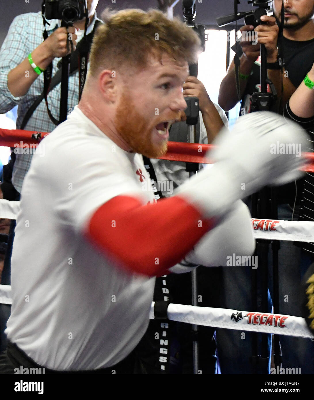 San Diego CA. 19th Apr, 2017. Former Two-Division World Champion Canelo ...