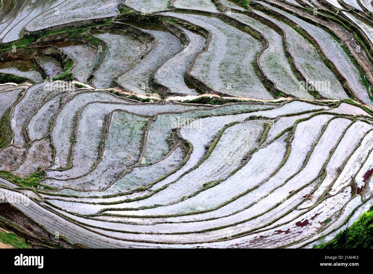 Jian, China. 19th Apr, 2017. Aerial photography of terraced fields in ...
