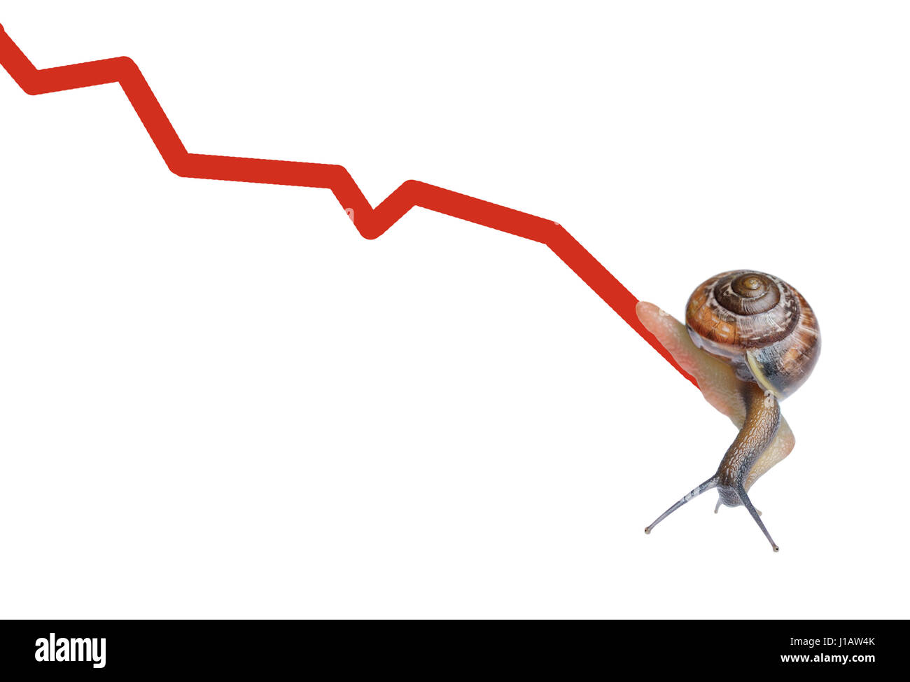 Snail on chart currency isolated on white background Stock Photo - Alamy