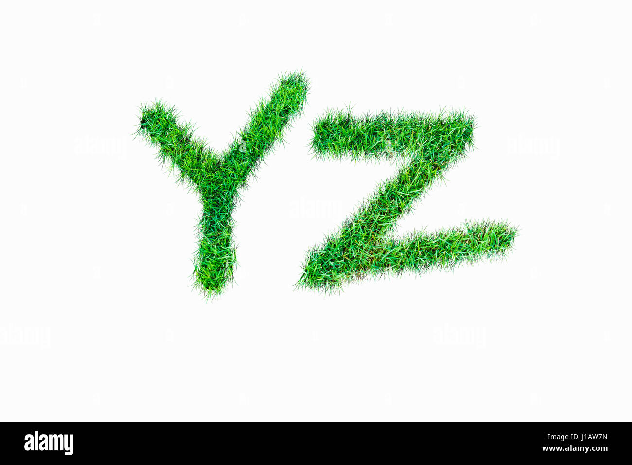 Green nature real grasss yz font isolated on white Stock Photo - Alamy
