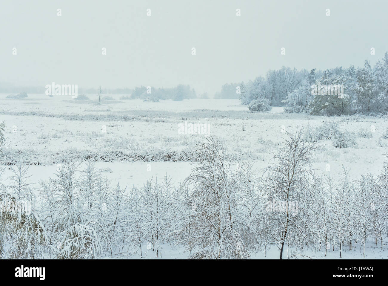 Central Poland, Poland. 19th Apr, 2017. Heavy snowfall and fierce winds ...