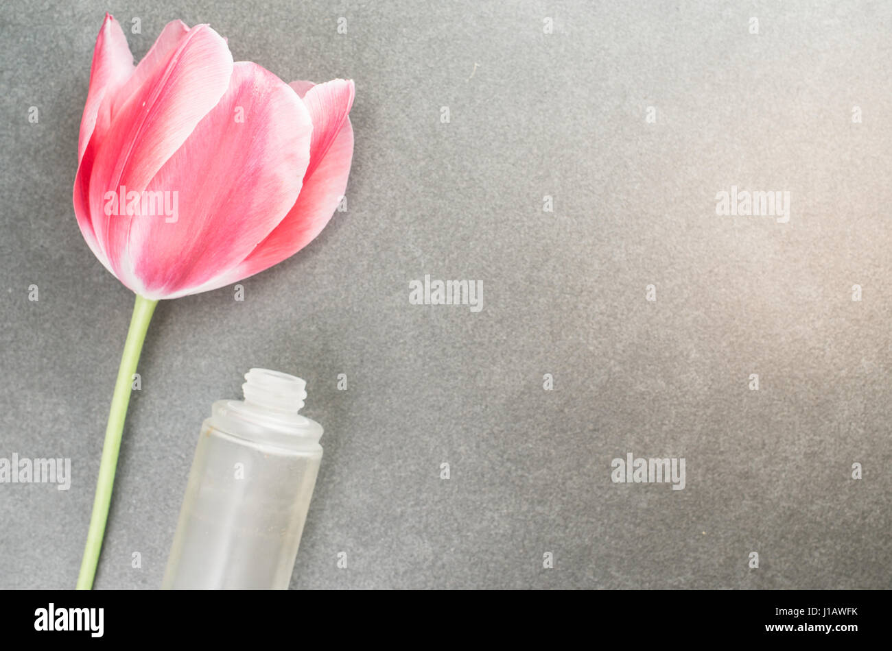 red tulip floral backdrop - top view Stock Photo - Alamy