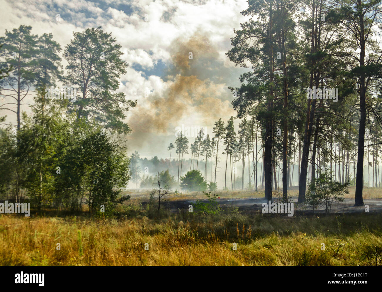 Ukraine forest fire hi-res stock photography and images - Alamy