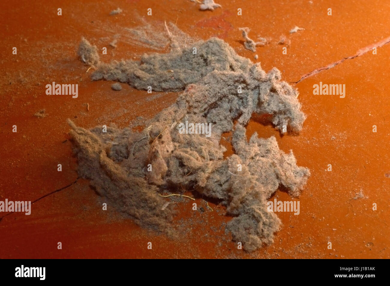 Dust after cleaning the house Stock Photo - Alamy