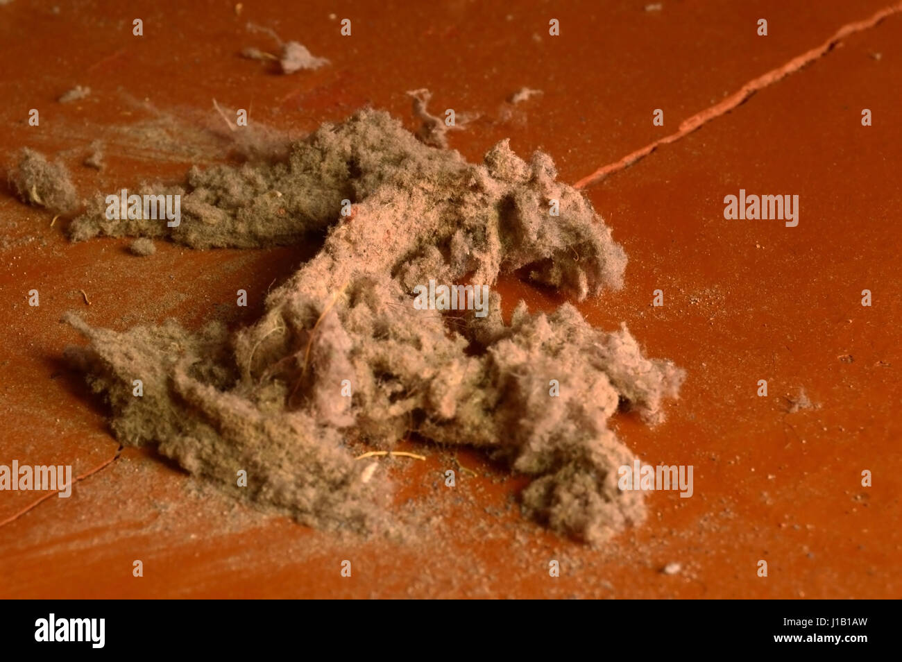 Dust after cleaning house hi-res stock photography and images - Alamy