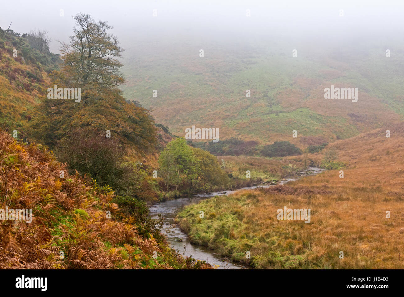 Autumnal view of the countyside from the Two Moors Way footpath ...