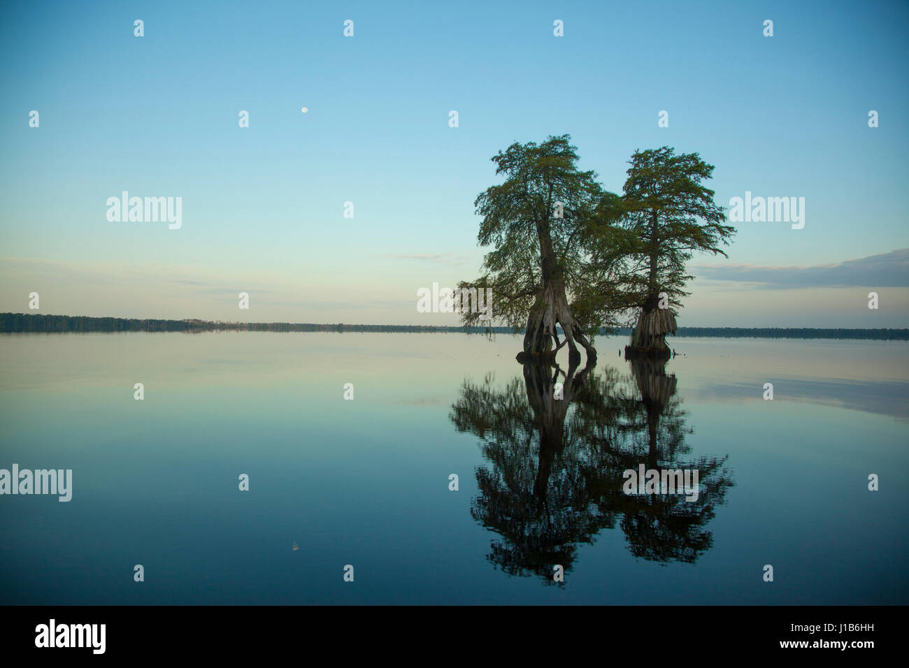 Reflection of trees in river at sunset Stock Photo - Alamy