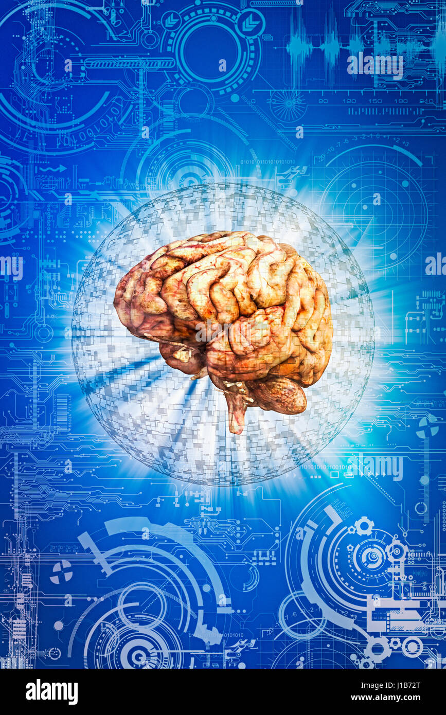 Brain floating in sphere over blueprint Stock Photo - Alamy
