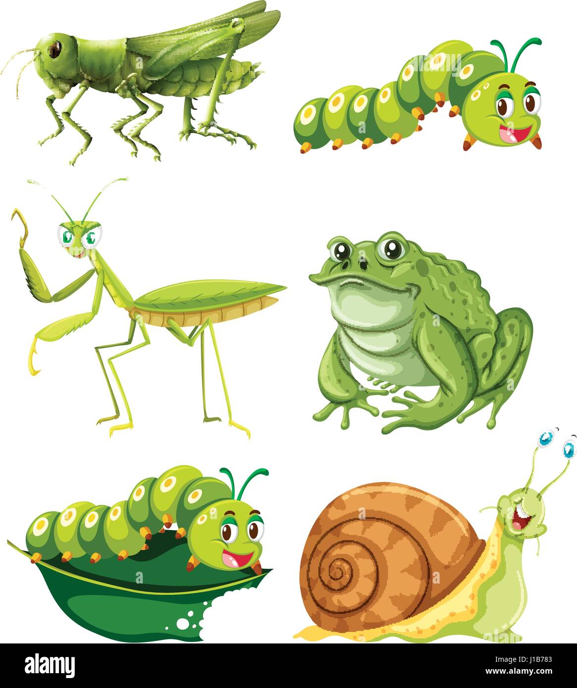 Different types of insects in green color illustration Stock Vector ...