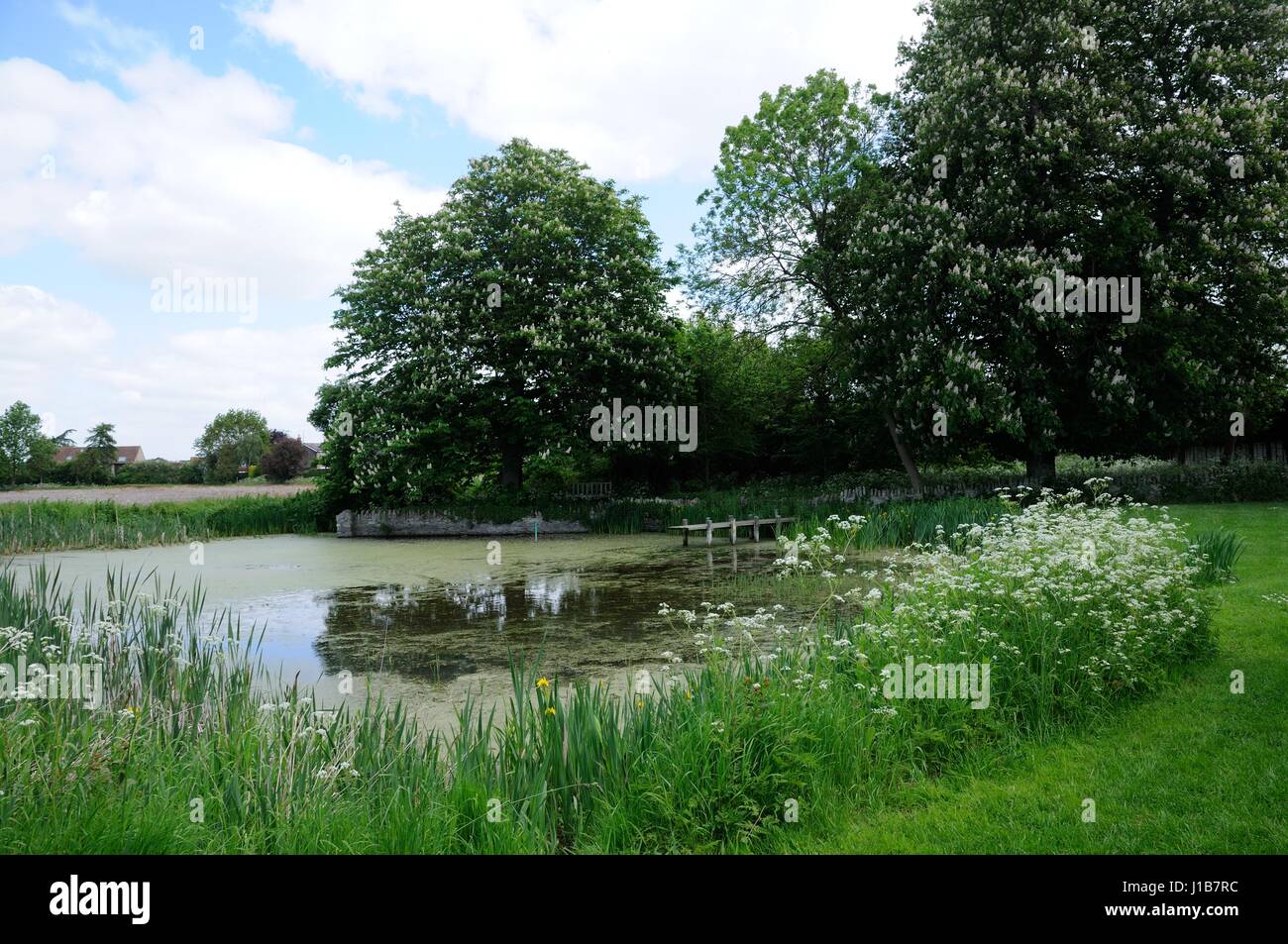 Biddenham hi-res stock photography and images - Alamy