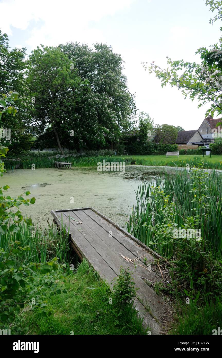 Village Pond, Biddenham, Bedfordshire, was once the Manor carp pond ...