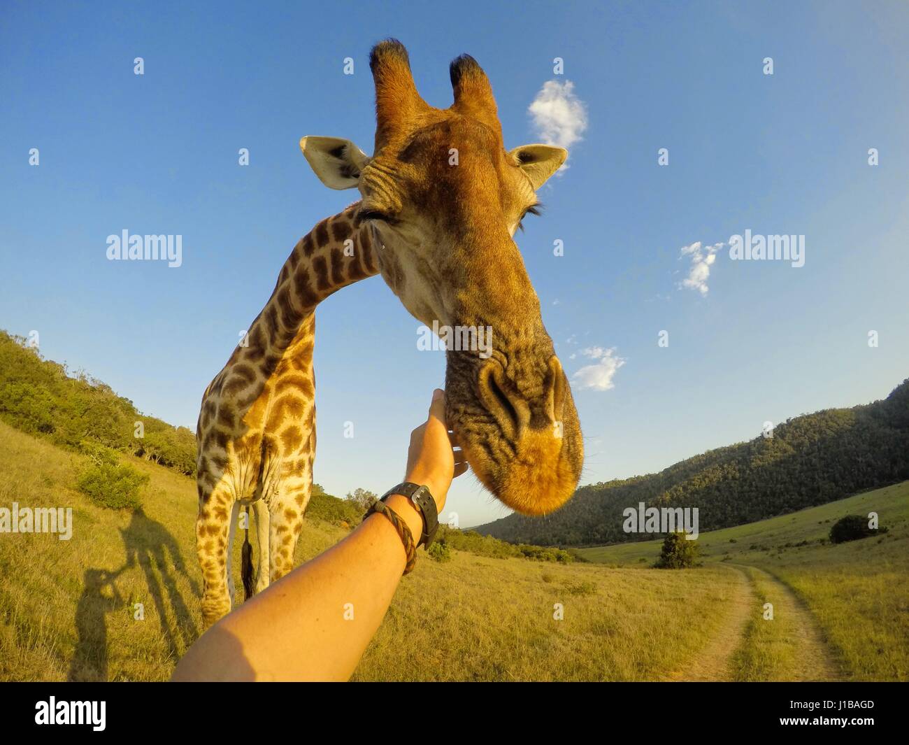 Tickle Me High Resolution Stock Photography and Images - Alamy