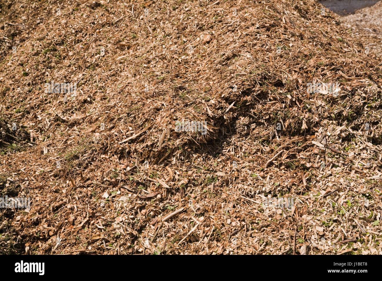 Pile of cedar tree bark mulch Stock Photo - Alamy