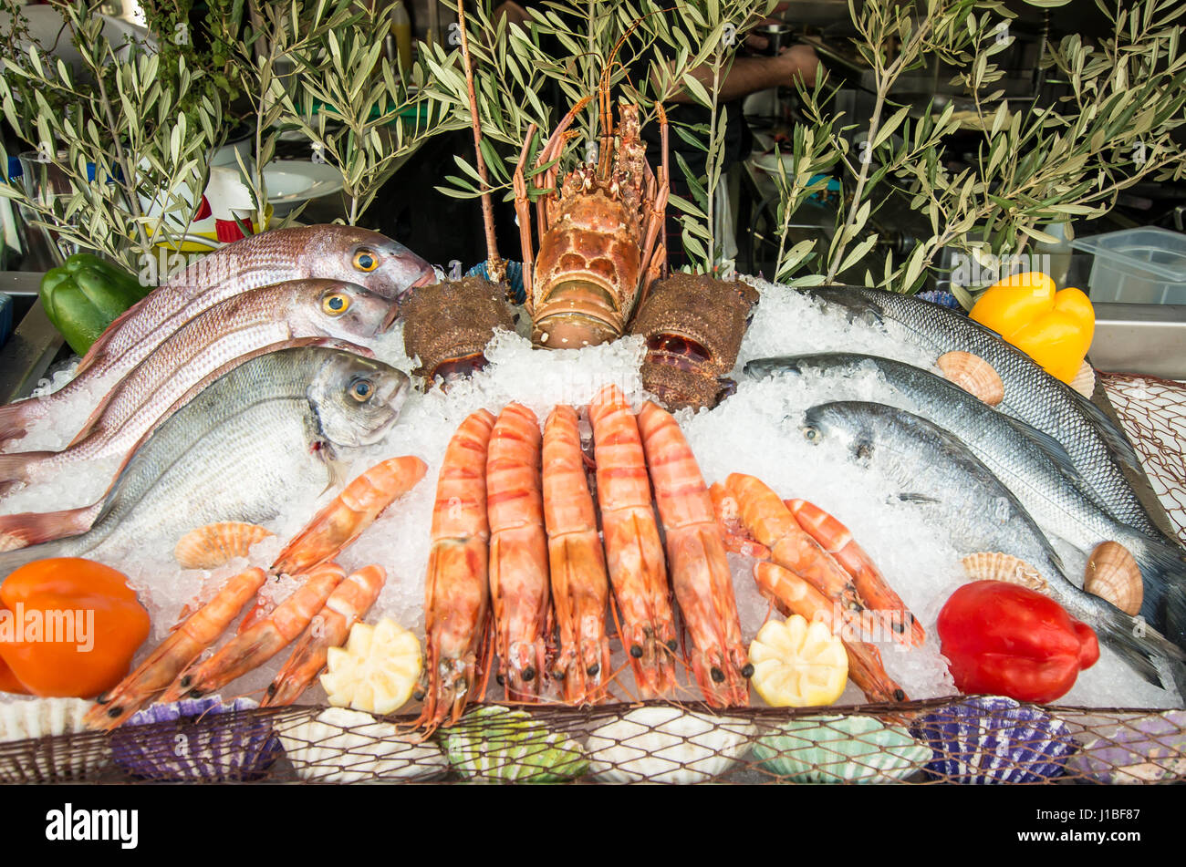 Shrimp greece hi-res stock photography and images - Alamy