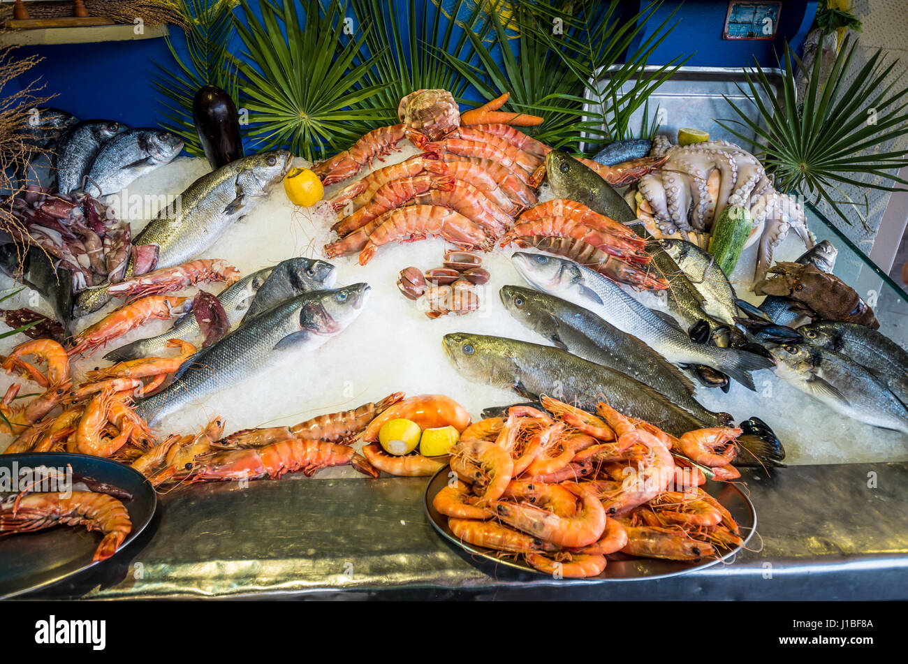 Fish display greece hi-res stock photography and images - Alamy
