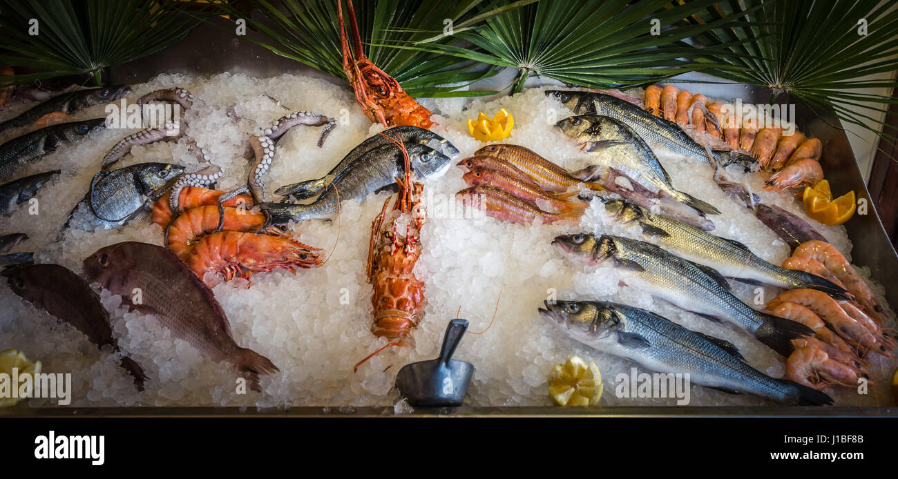 Fresh seafood and fishes lying on ice in the showcase. Rethymno on ...