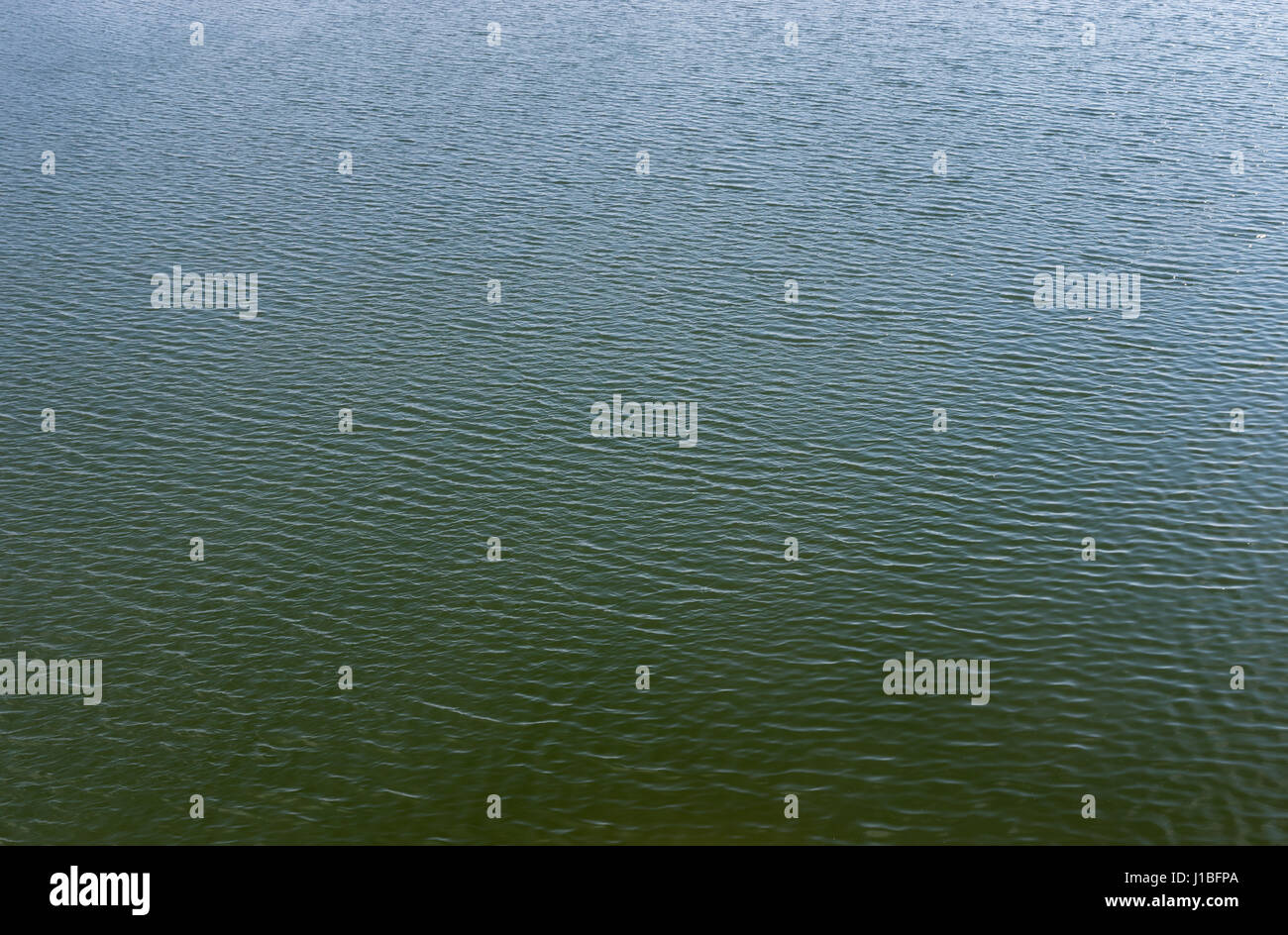 Ripples on the standing lake water in windy day at spring season Stock ...