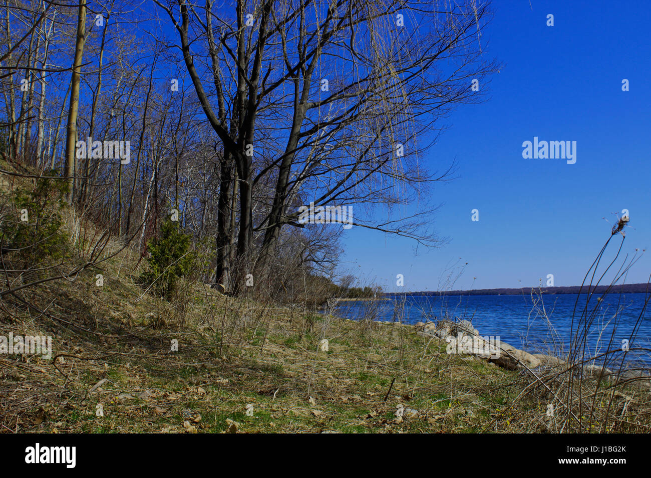 Wonderful tree hi-res stock photography and images - Alamy