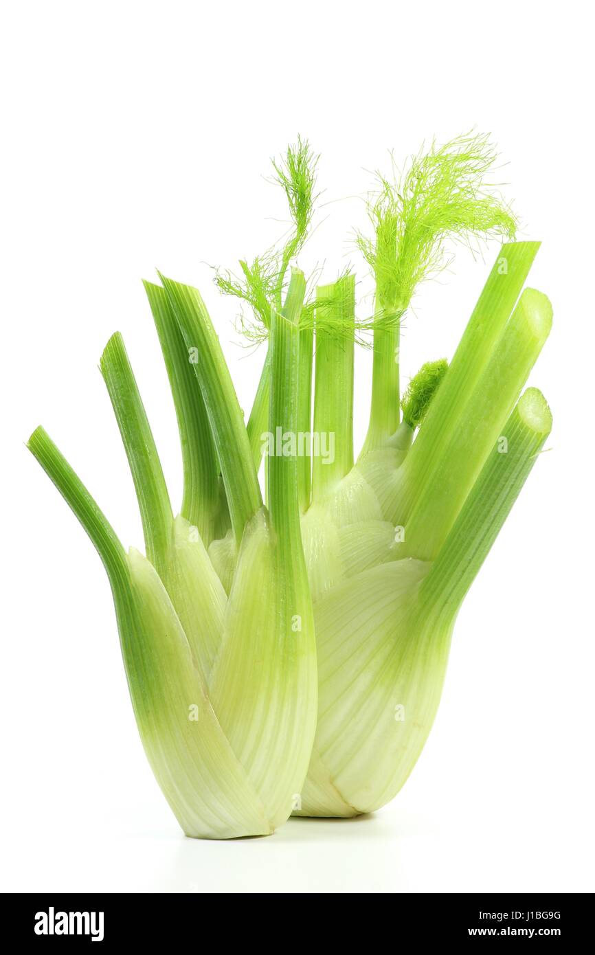 Raw florence fennel bulbs hi-res stock photography and images - Alamy