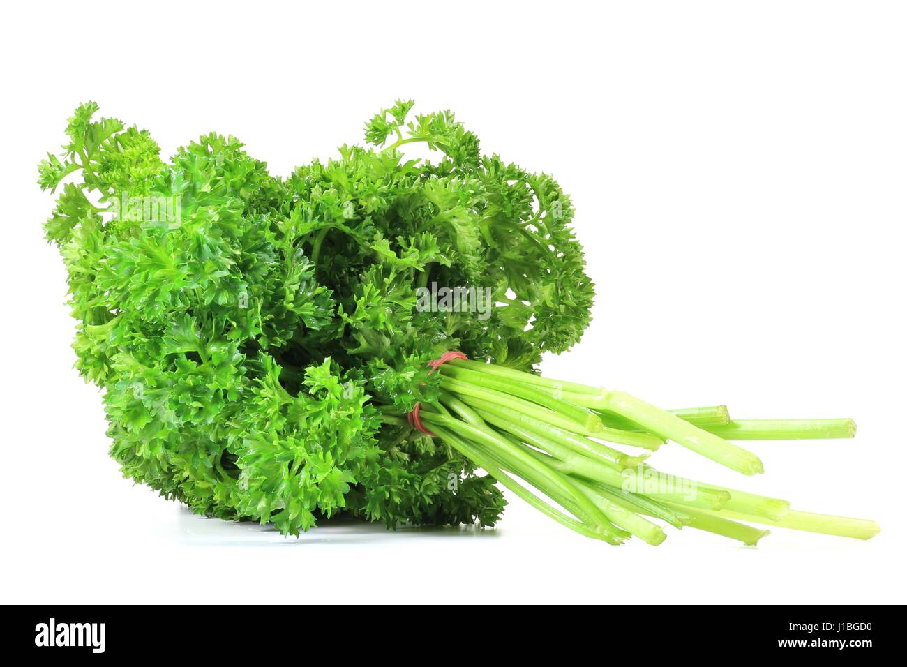 Curly parsley Cut Out Stock Images & Pictures - Alamy