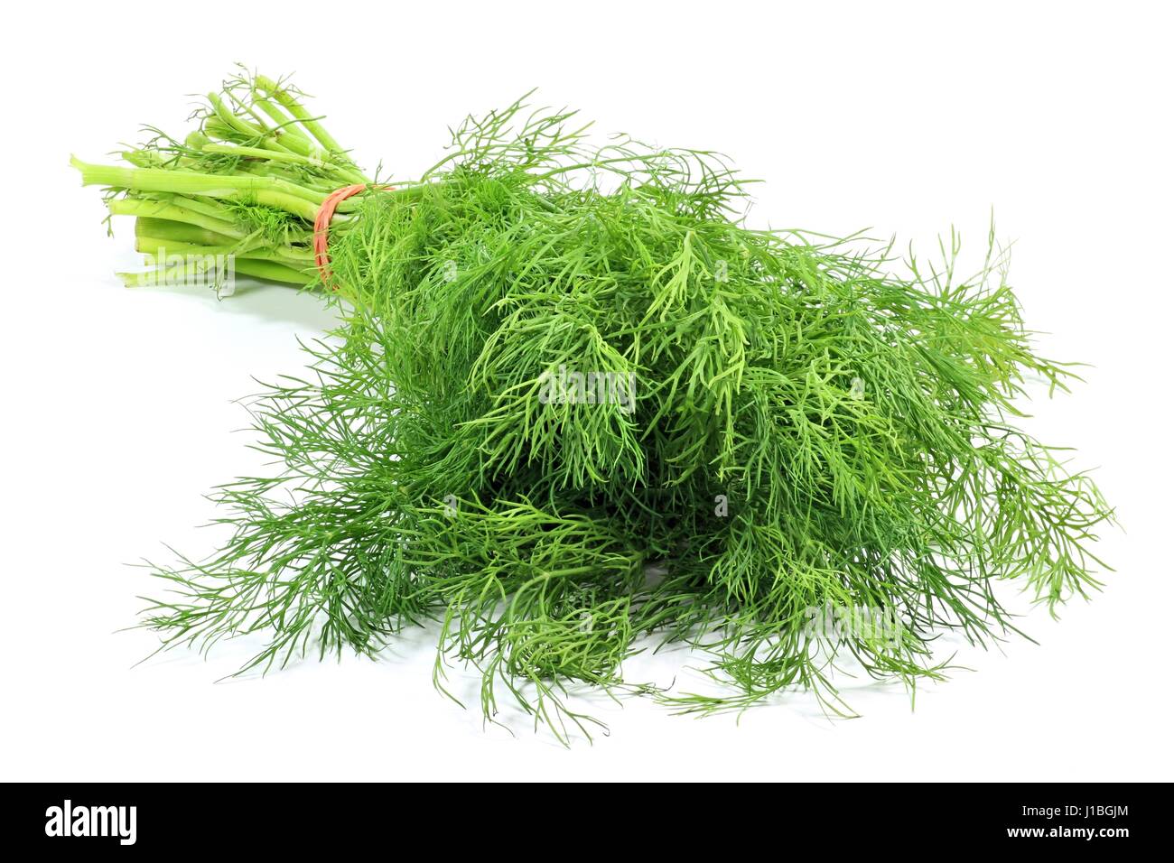 bunch of dill isolated on white background Stock Photo - Alamy
